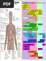 Antibiotic Chart Infectious Disease Bug Drug Table PDF | PDF ...