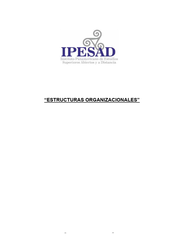 2. Estructura Organizacional LAE 11 | PDF | Business | Sistema