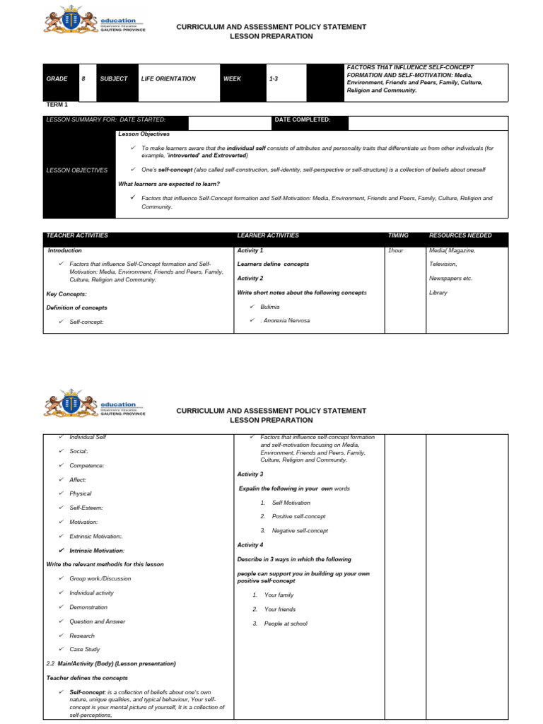 GR 8 Term 1 Lesson Plans | PDF | Self Concept | Adolescence
