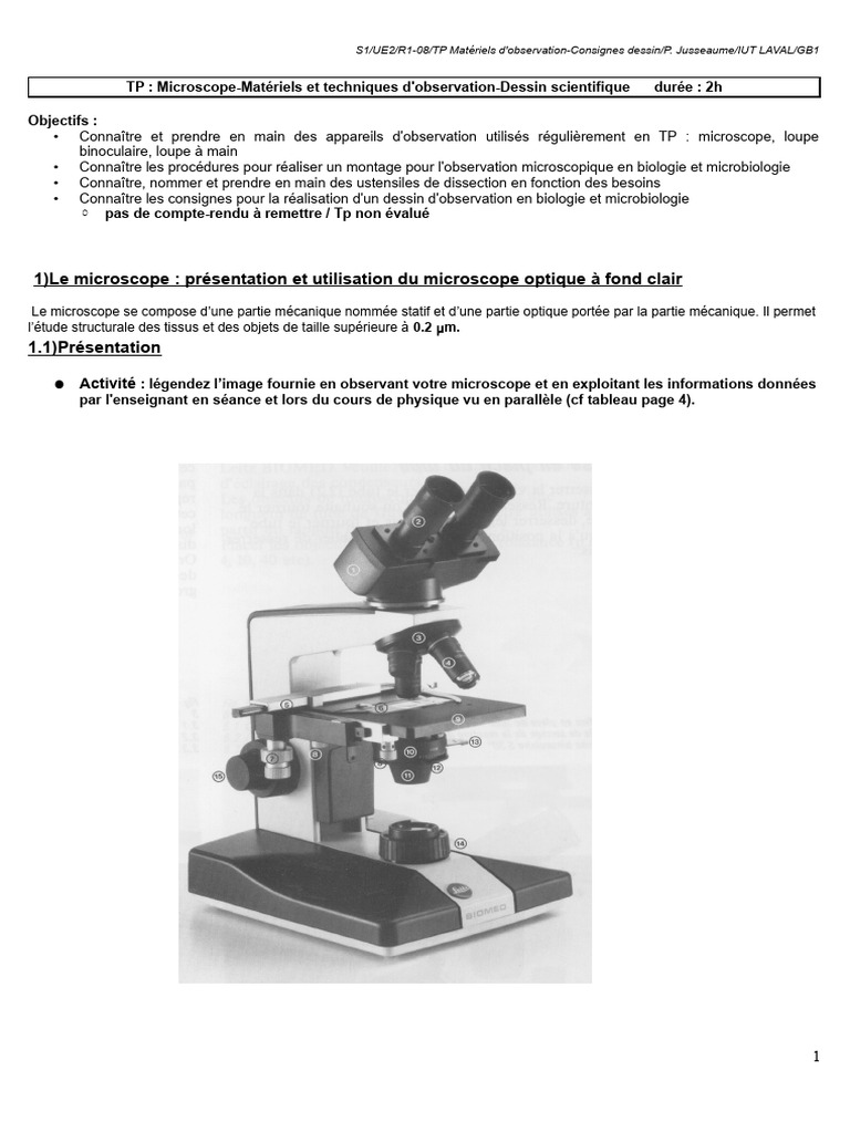 Dessin et utilisation du microscope | PDF | Dessin | Microscope