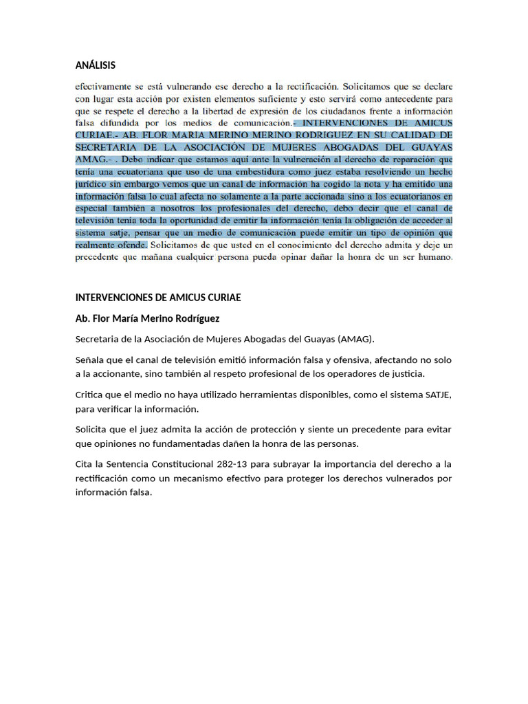 INTERVENCIONES DE AMICUS CURIAE | PDF