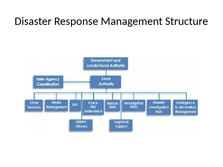 Disaster Response Management Structure | PDF