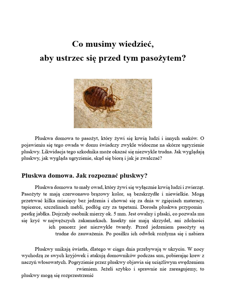Pluskwy | PDF