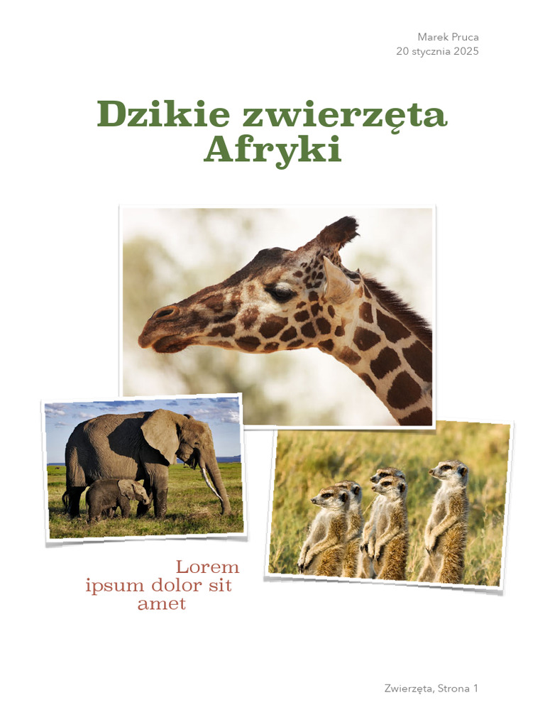Dzikie Zwierz Ta Afryki: Lorem Ipsum Dolor Sit Amet | PDF