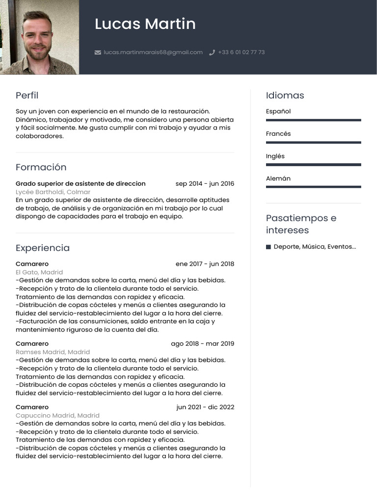 CV Lucas Martin | PDF