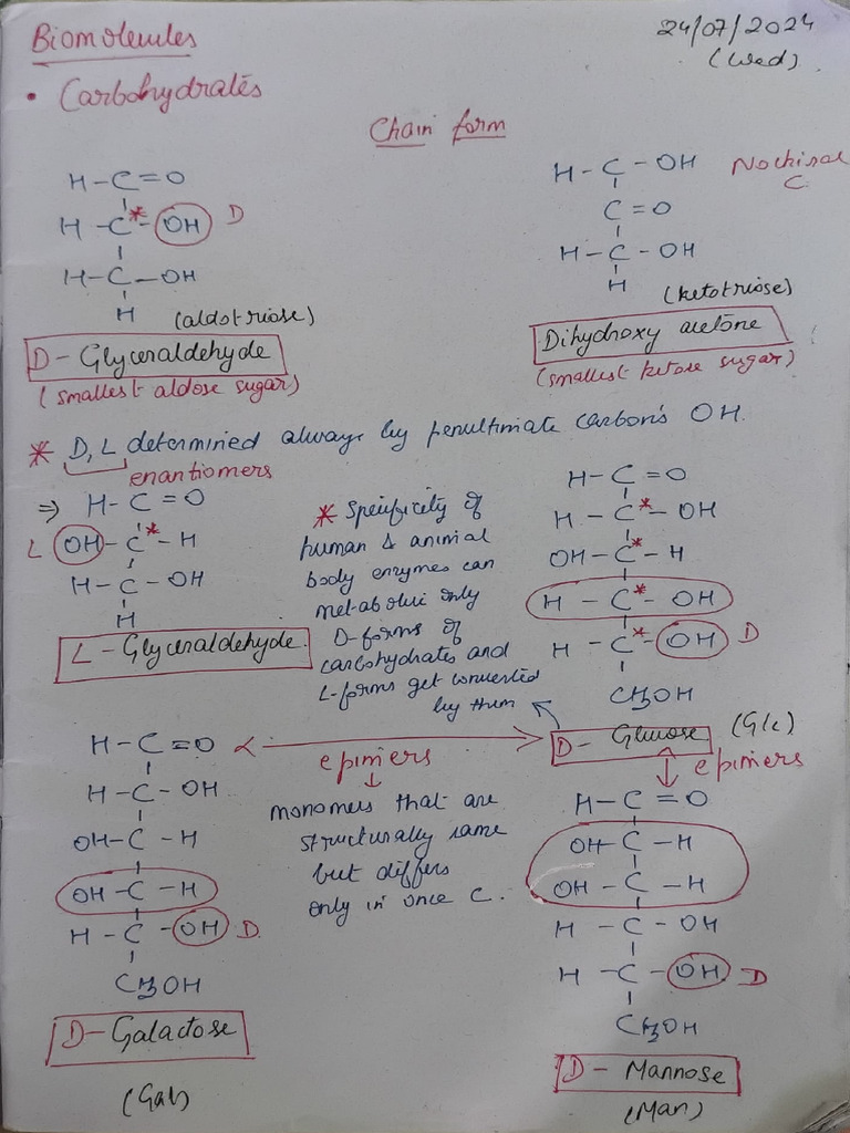 Carbohydrates | PDF | Carbohydrate Chemistry | Carbohydrates