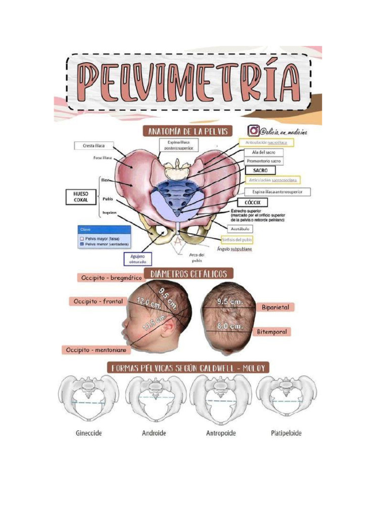 Tema Pelvimetría | PDF | Pelvis | Sistema esquelético