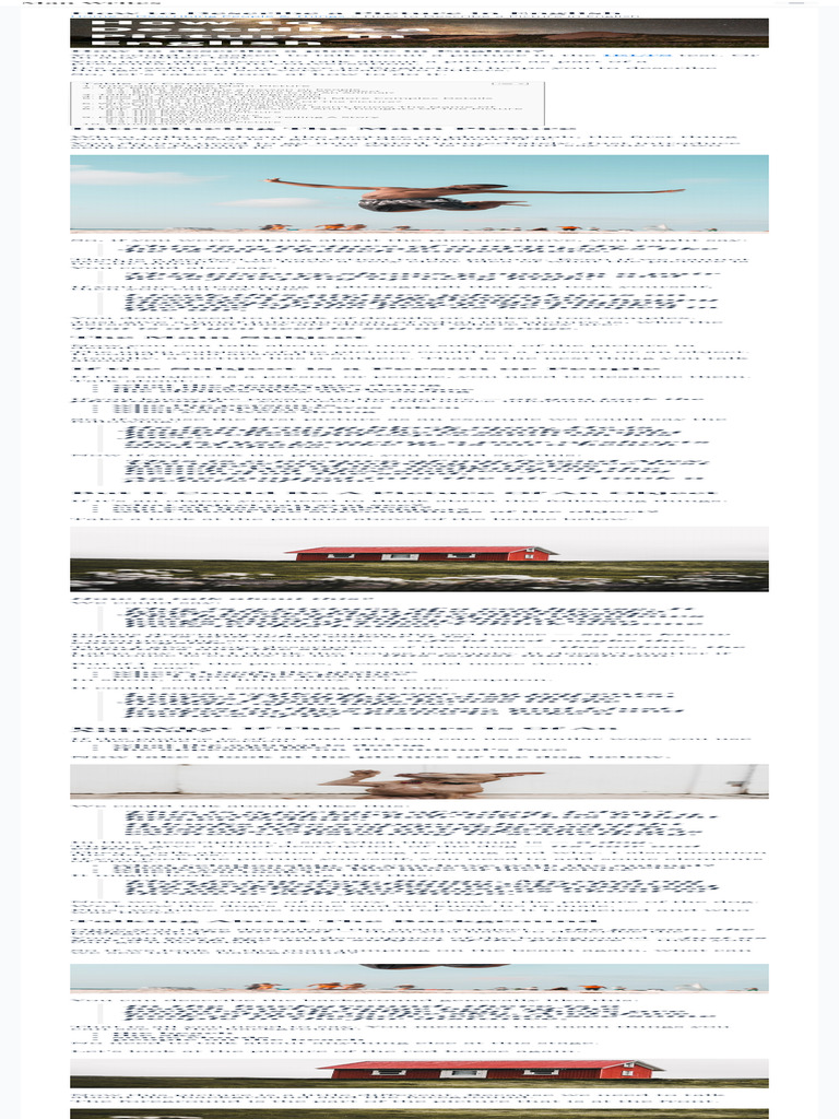 How To Describe A Picture in English - Man Writes | PDF