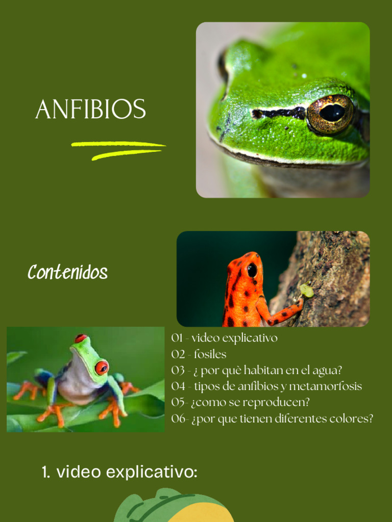 Introducción a los Anfibios | PDF