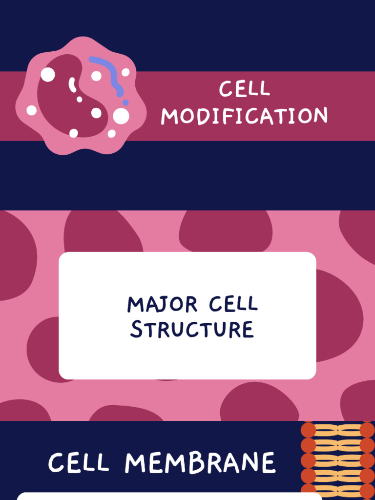 4- Cell Modifications | PDF | Cell (Biology) | Endoplasmic Reticulum