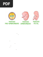 P1-Origen Embriológico Del Sistema Tegumentario y Anexos | PDF ...