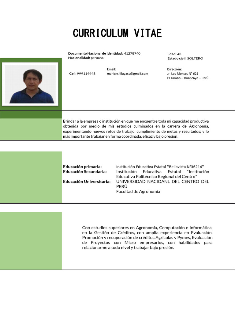 Curriculum Vitae Descriptivo Paulo Cesar Llancari Arroyo | PDF | Perú