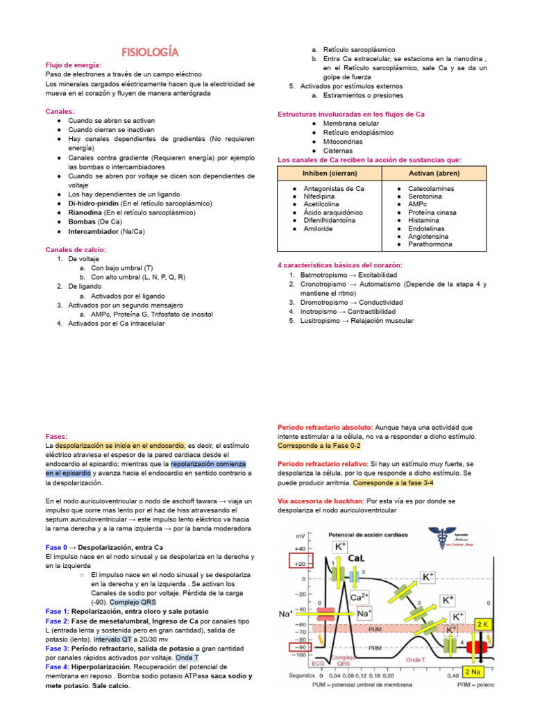 Fisiología del Corazón y Canales Iónicos | PDF | Electrocardiografia ...
