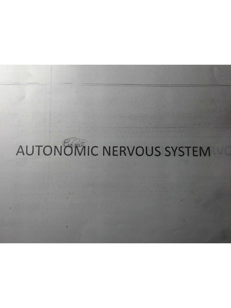 Autonomic Nervous System | PDF