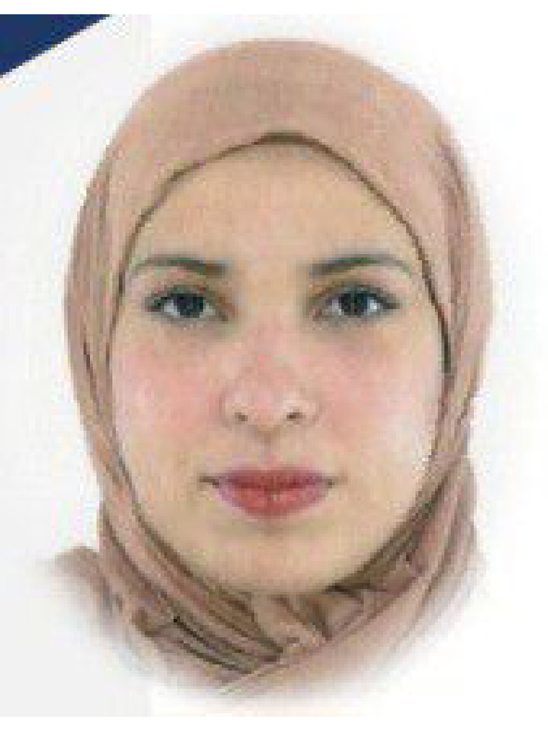 PDFReader 20241106 1221 | PDF