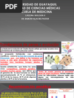 Transferencia genética vertical y horizontal | PDF | Virus | Gene