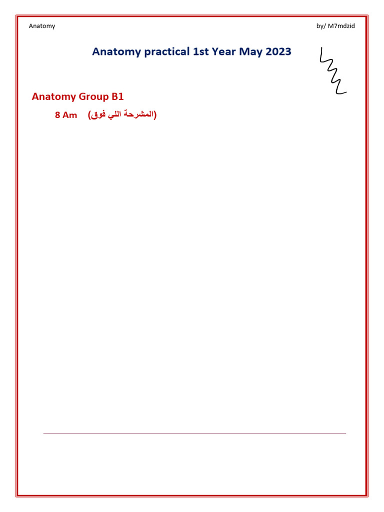 Practical 1st Year May 2023 | PDF | Heart | Hip