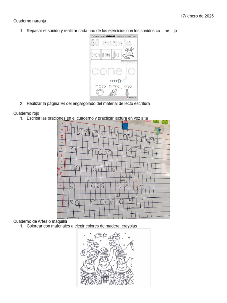 Act 17 Enero 2025 | PDF