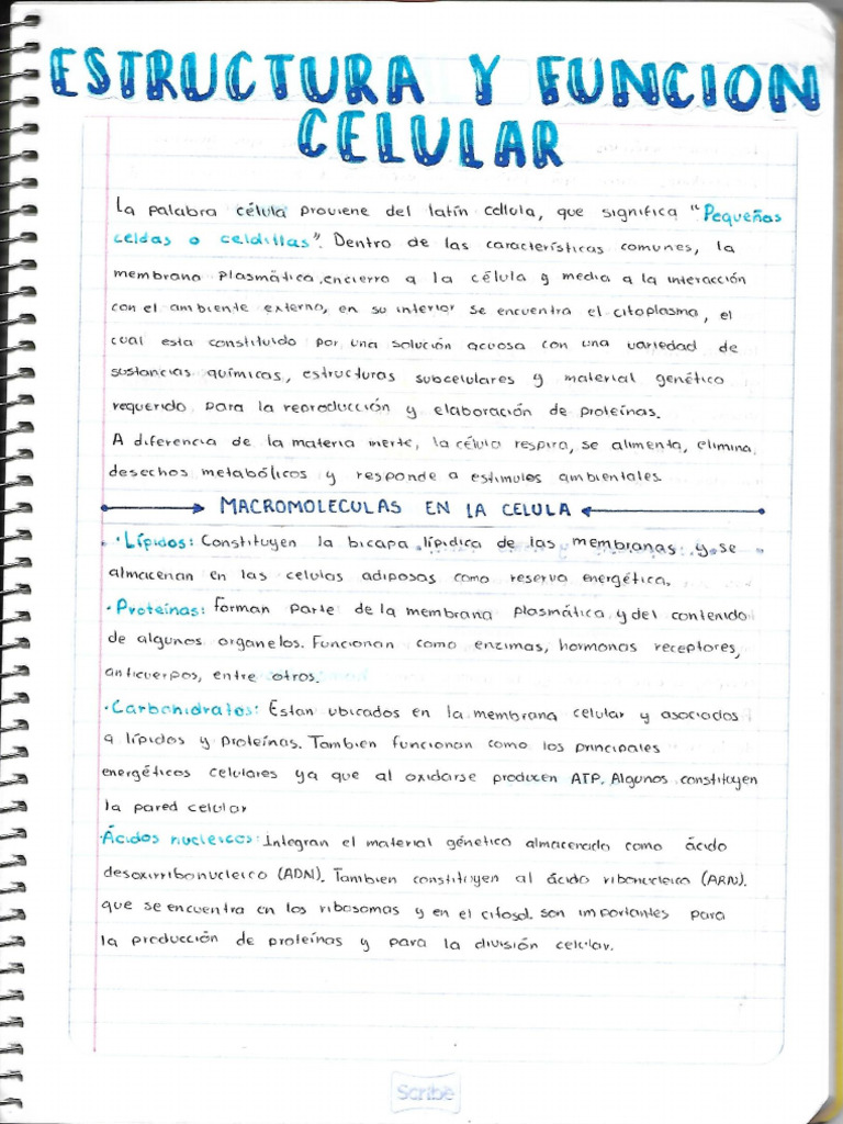 Estructura y Funcion Celular | PDF
