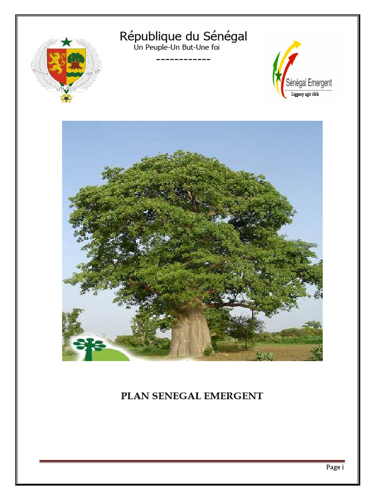 Projets du Plan Sénégal Émergent | PDF | Développement durable ...