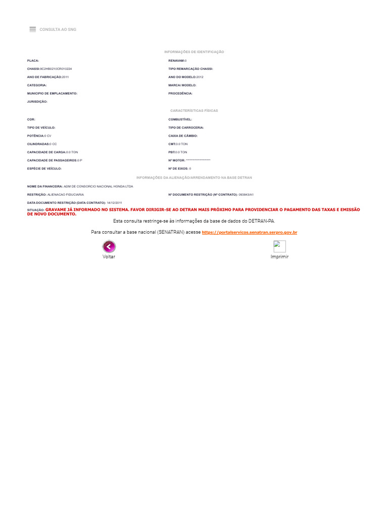 Consulta Ao SNG | PDF