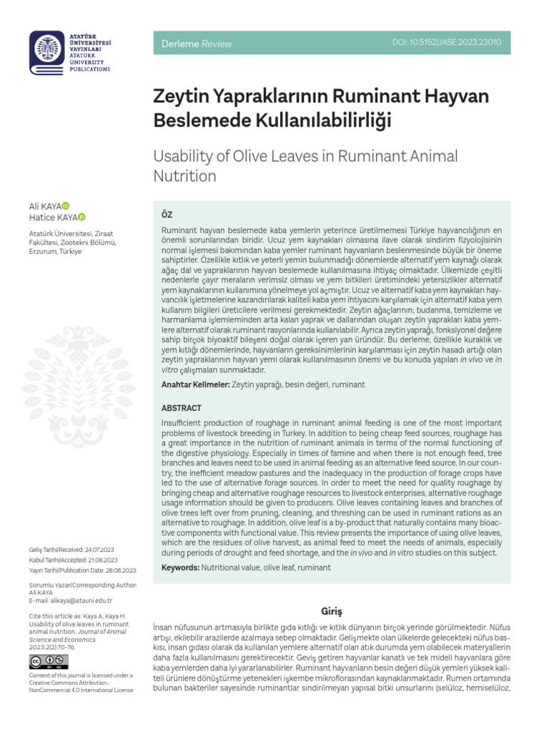 10.5152 DDDDDDD 3403491 | PDF