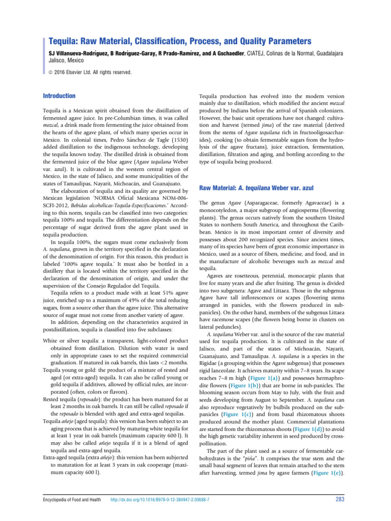 Tequila Raw Material, Classification, Process, and Quality Parameters | PDF