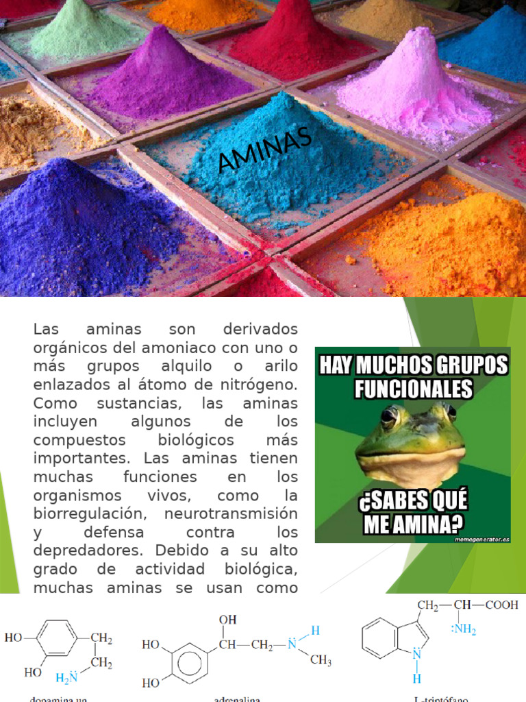 Aminas Teoría y Conceptos | PDF | Amina | Química Orgánica