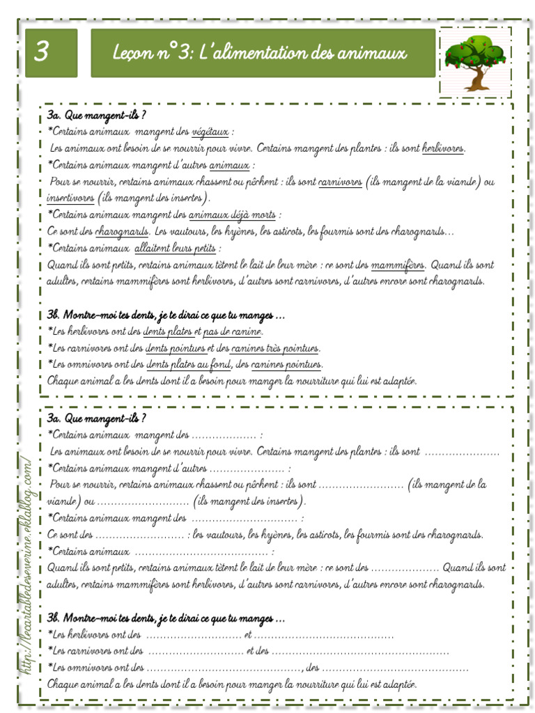 Alimentation des animaux : herbivores, carnivores, omnivores | PDF ...