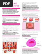 Ectopia Cervical: Definição e Tratamento | PDF | Câncer cervical ...