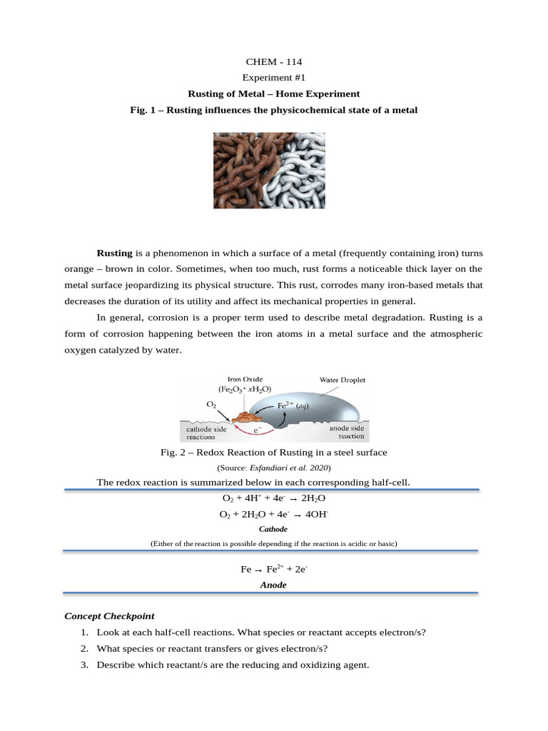 Chem-114-LAB-Experiment-1-Rusting-of-Iron | PDF | Rust | Corrosion
