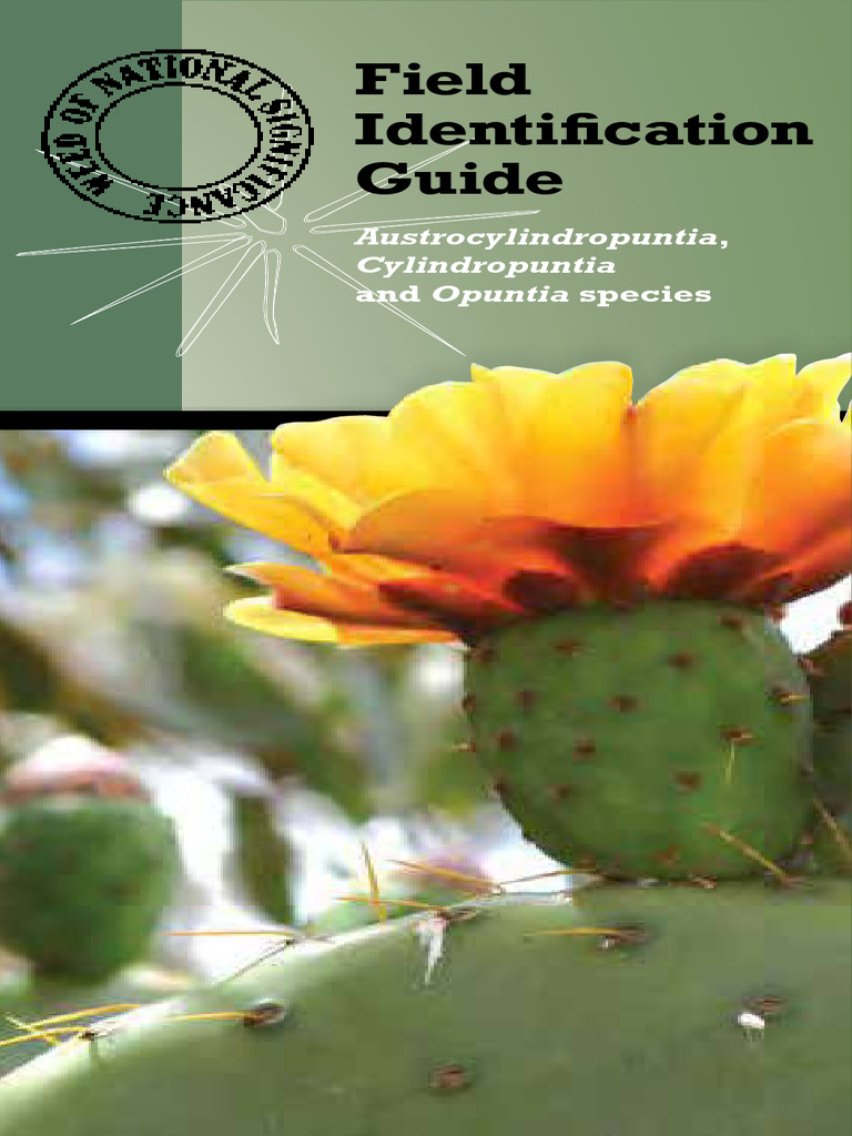 Field Identification Guide - Weeds Australia | PDF | Plants | Botany