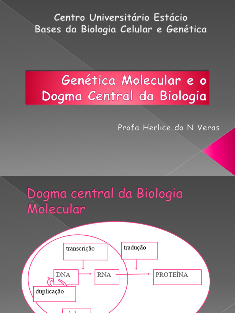 Estrutura e Função do DNA e RNA | PDF | RNA | DNA