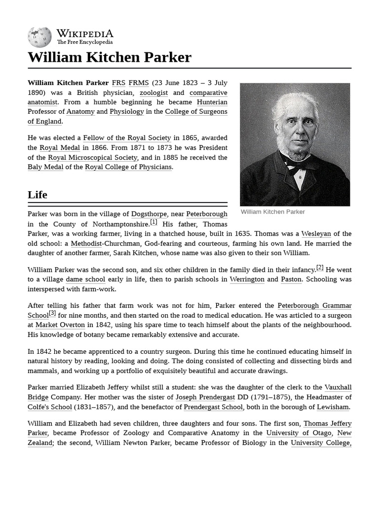 William_Kitchen_Parker | PDF