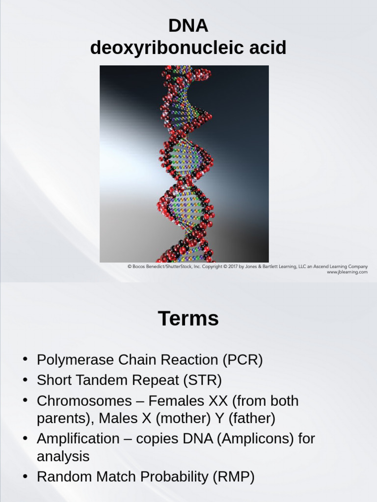 Week 10 - DNA Forensic Nursing | PDF | Dna | Dna Profiling