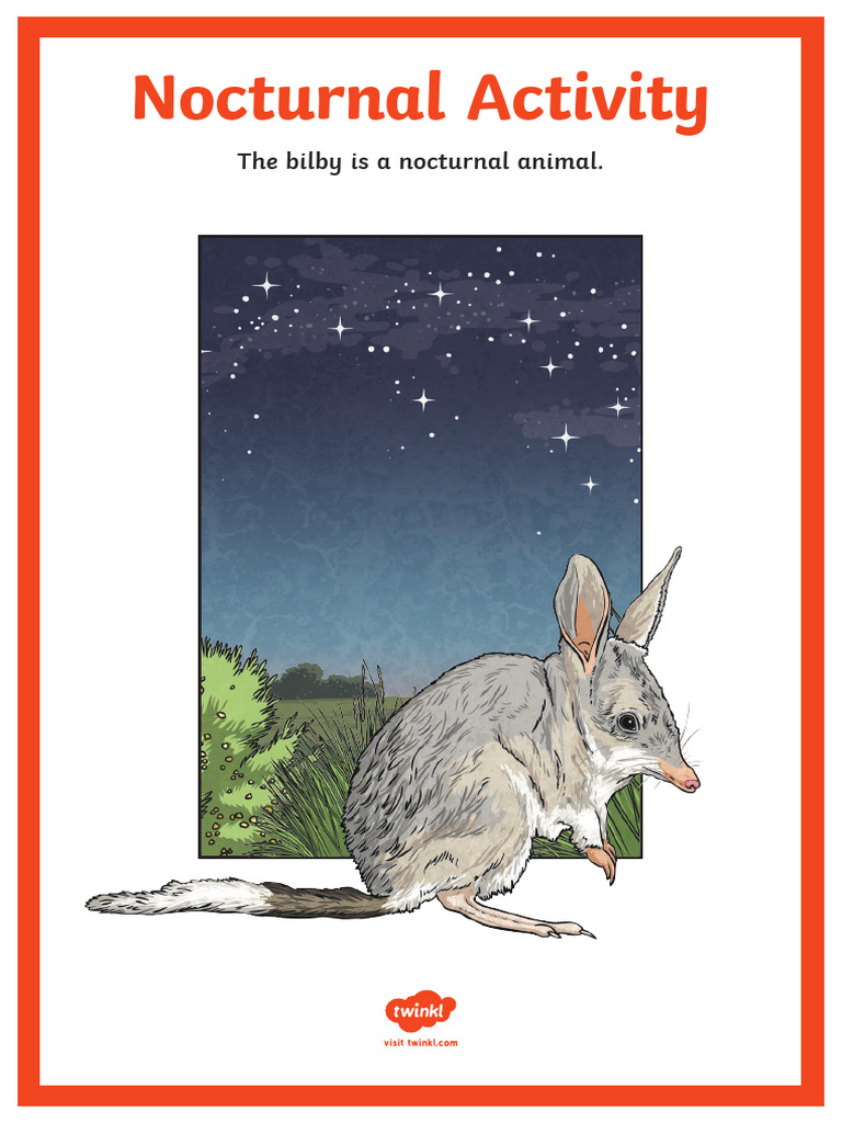 Au t2 S 1037 Australian Desert Animal Adaptations Display Posters - Ver ...