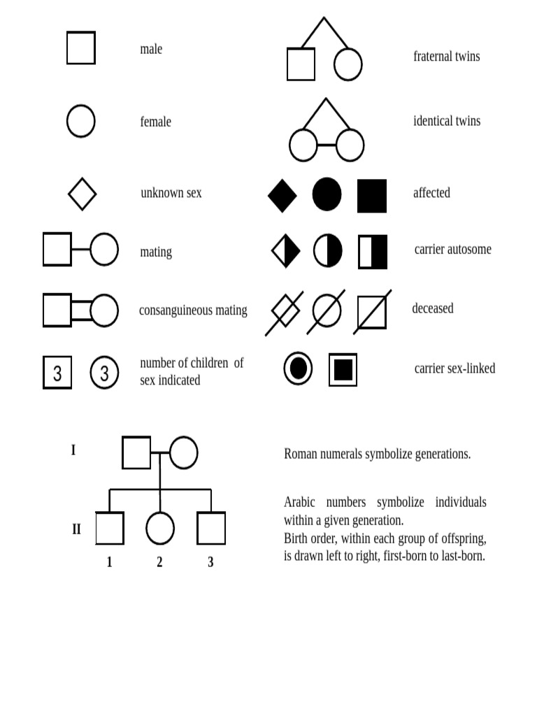 Pedigree Chart Symbols | PDF