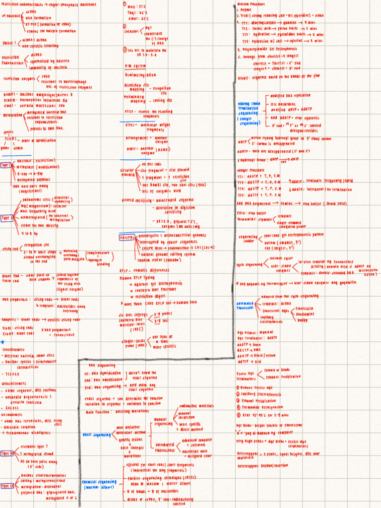 Midterms Summary - CCHM321 | PDF | Molecular Biology | Mathematical And Theoretical Biology