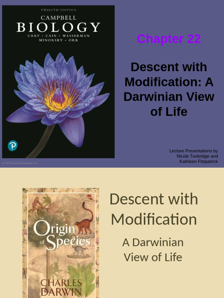 Chapter 22 Descent With Modification SP23 | PDF | Natural Selection | Evolution