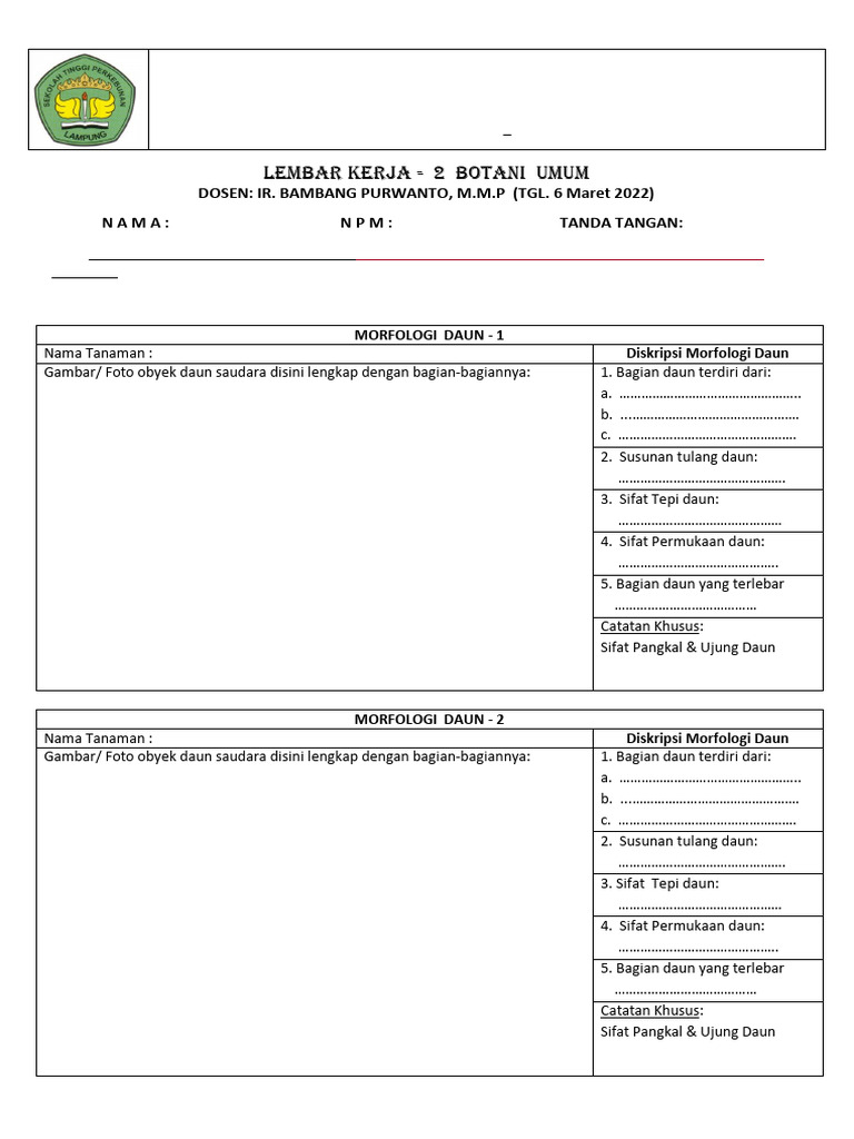 Lembar Kerja Botani - 2 | PDF