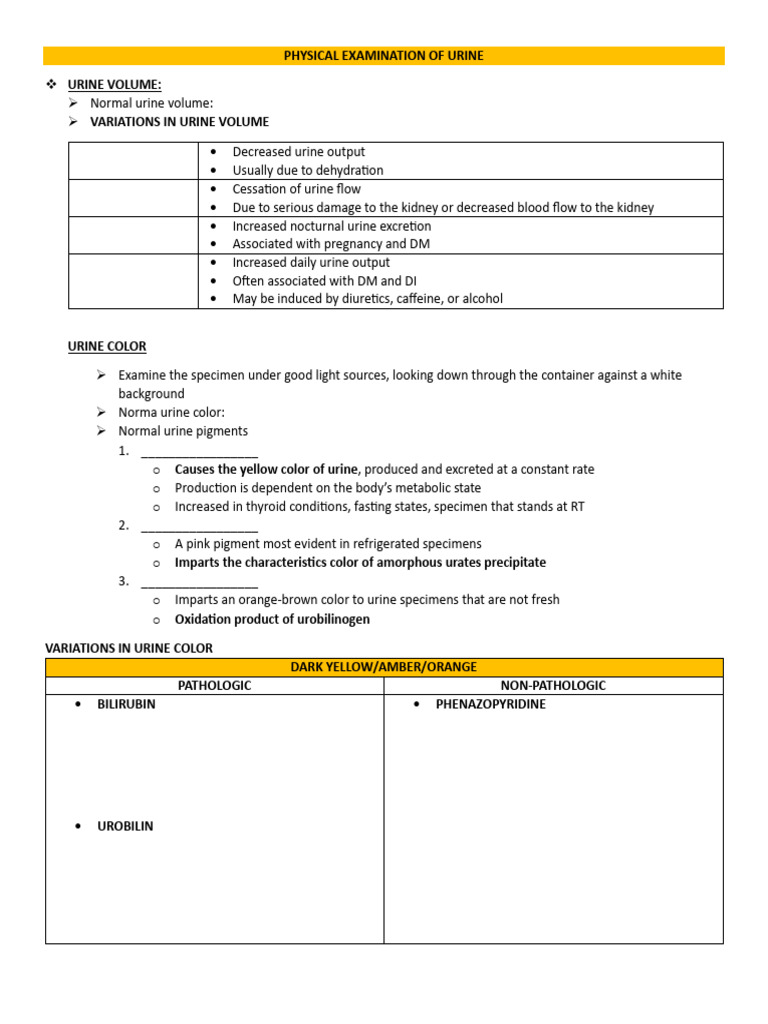 CLIMIC-LEC-2-PHYS.-EXAM | PDF | Urine