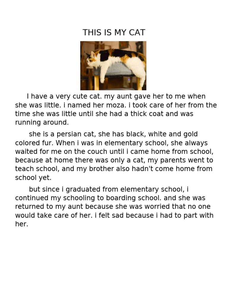 THIS IS MY CAT | PDF