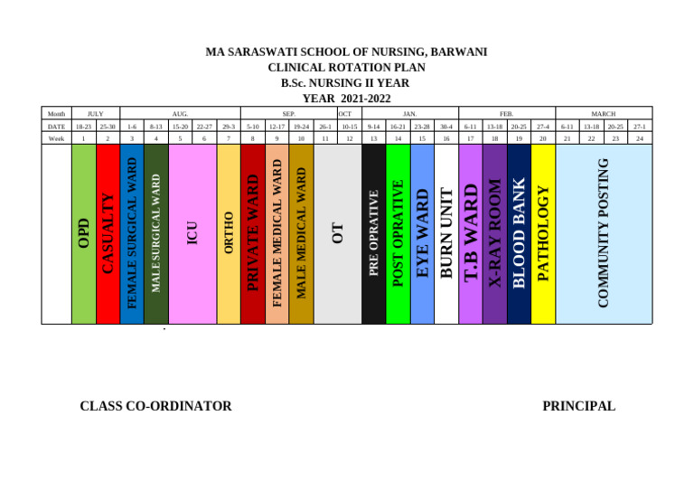 B.Sc II YEAR CRP 21-22 | PDF | Medical Specialties | Clinical Medicine