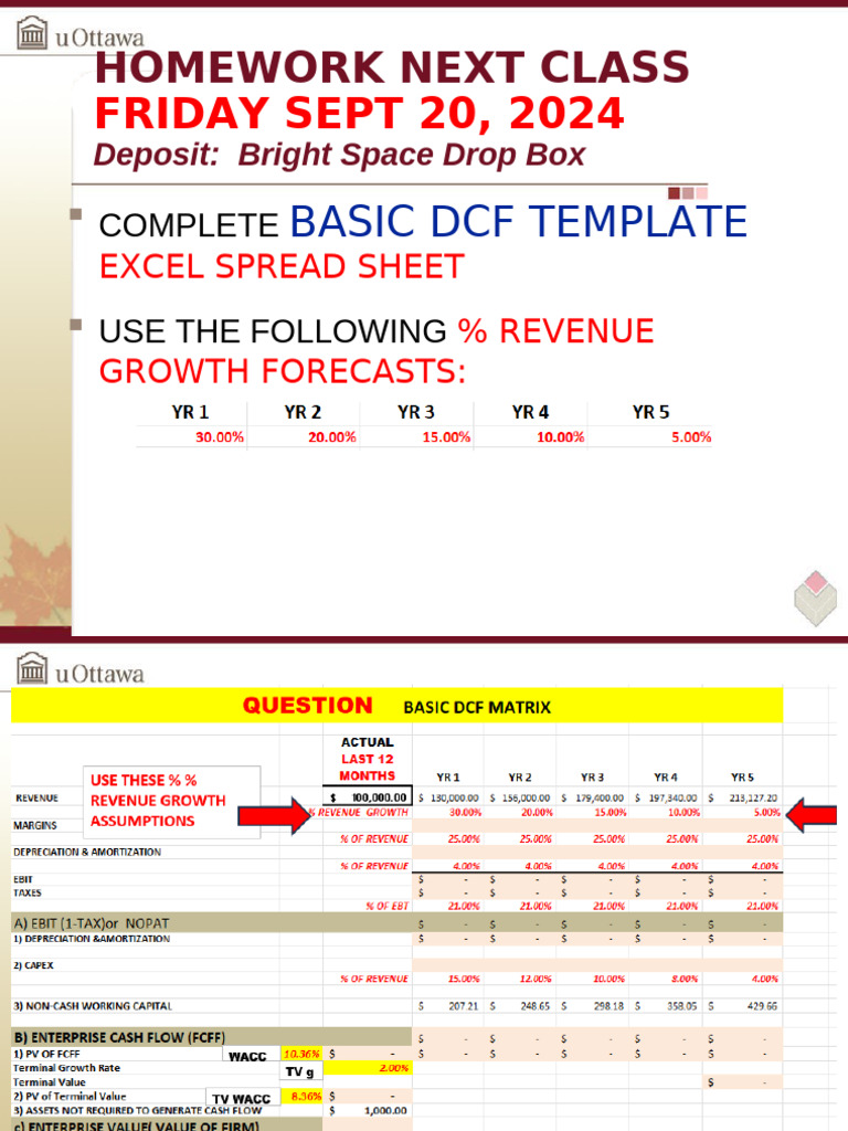 5 JULY 5 J 2024 Homework BASIC DCF TEMPLATE 3 | PDF