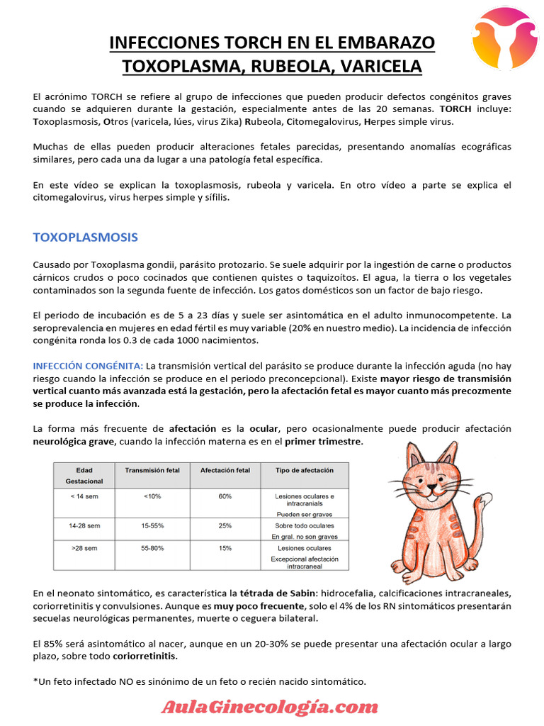 Torch en El Embarazo | PDF | Microbiología | Ciencias de la Salud