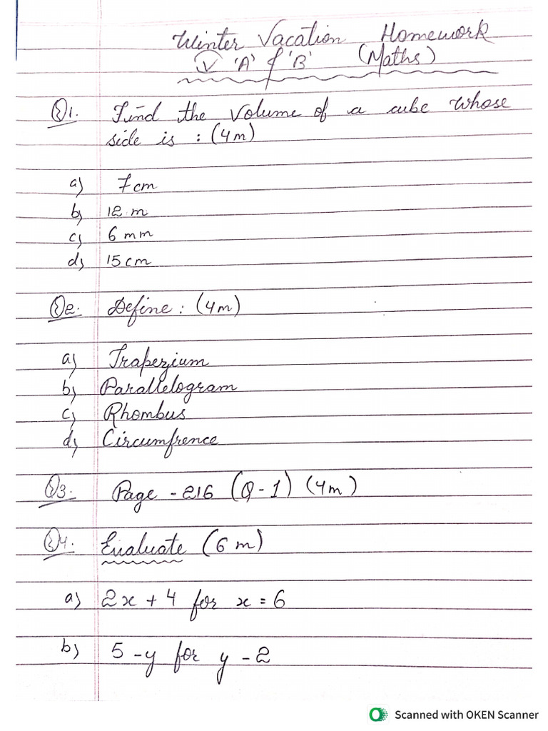 Winter vacation Homework of Maths class 5 | PDF