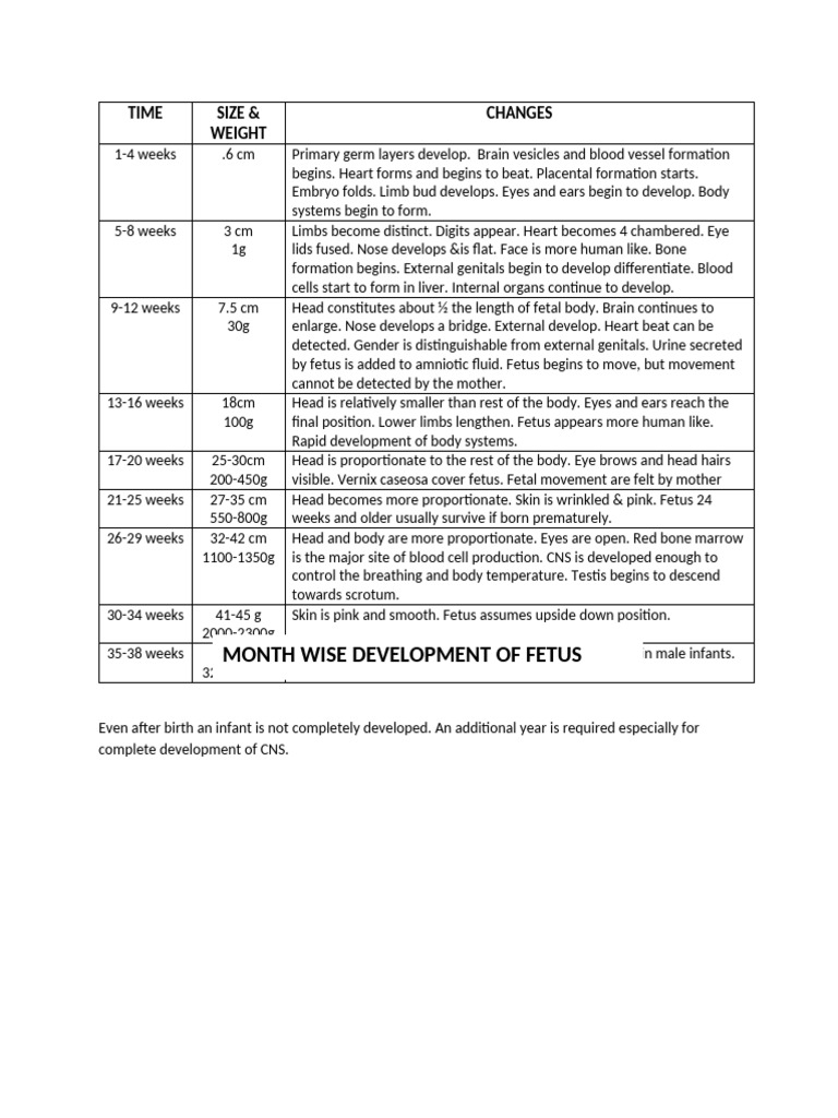 5 Month Wise Development of Fetus | PDF | Fetus | Anatomy