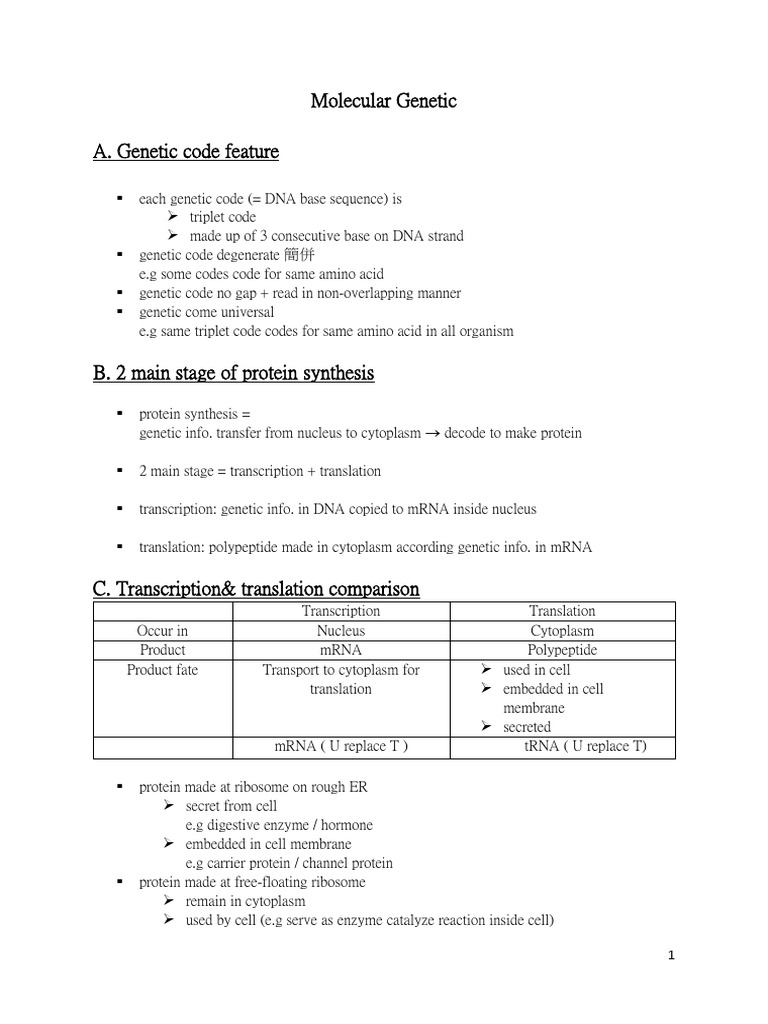 28.Molecular Genetic | PDF | Translation (Biology) | Genetic Code