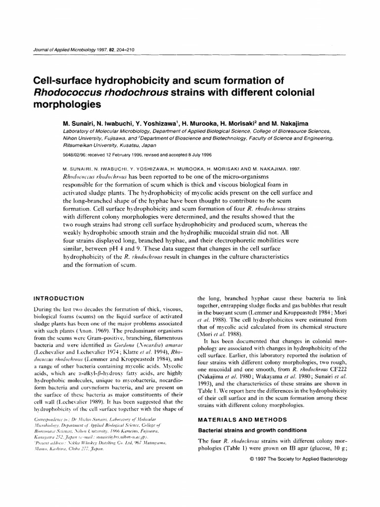 J of Applied Microbiology - 2008 - Sunairi - Cell Surface Hydrophobicity and Scum Formation of ...