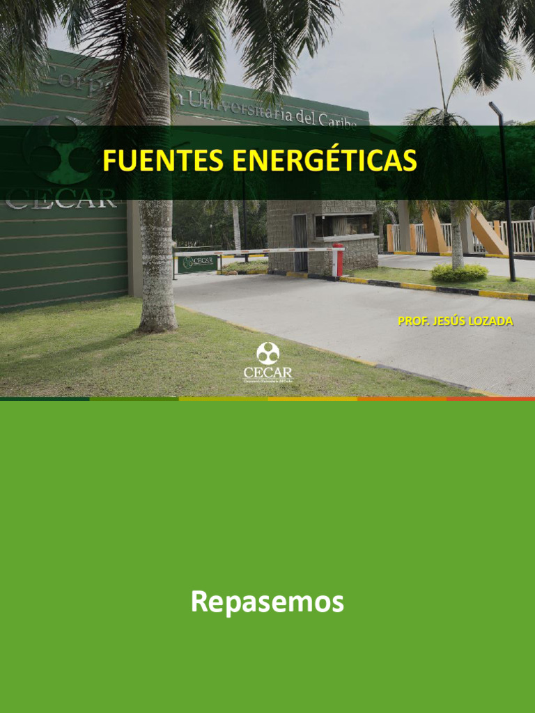 Fisiología y Bioenergética del Ejercicio | PDF | Química | Biología